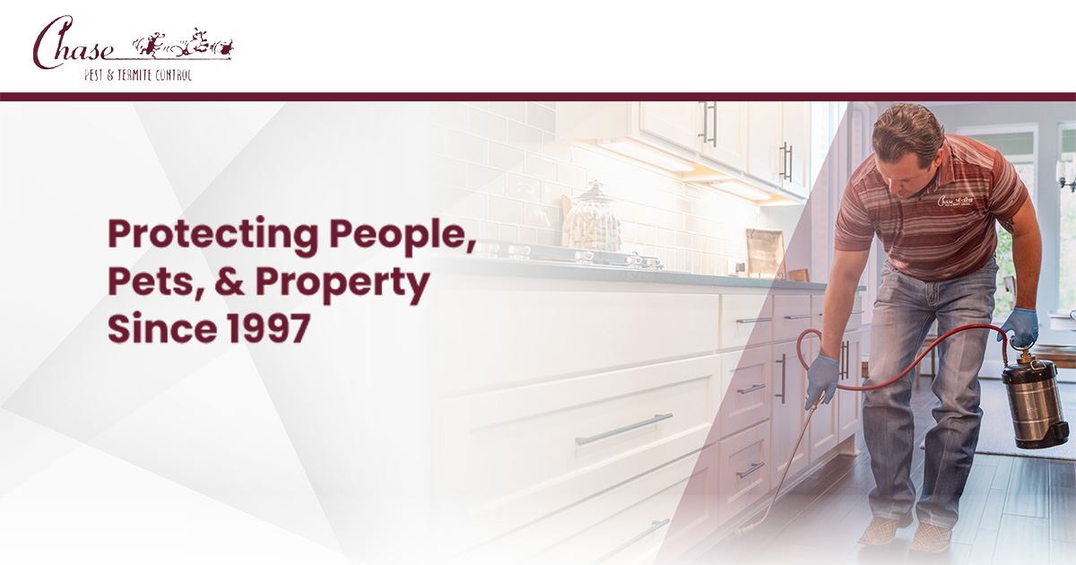 Pest Control in Conroe, TX | Chase Pest Control